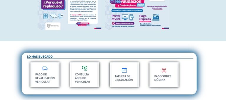 ¿Cómo imprimir la tarjeta de circulación? - Circuito Frontera