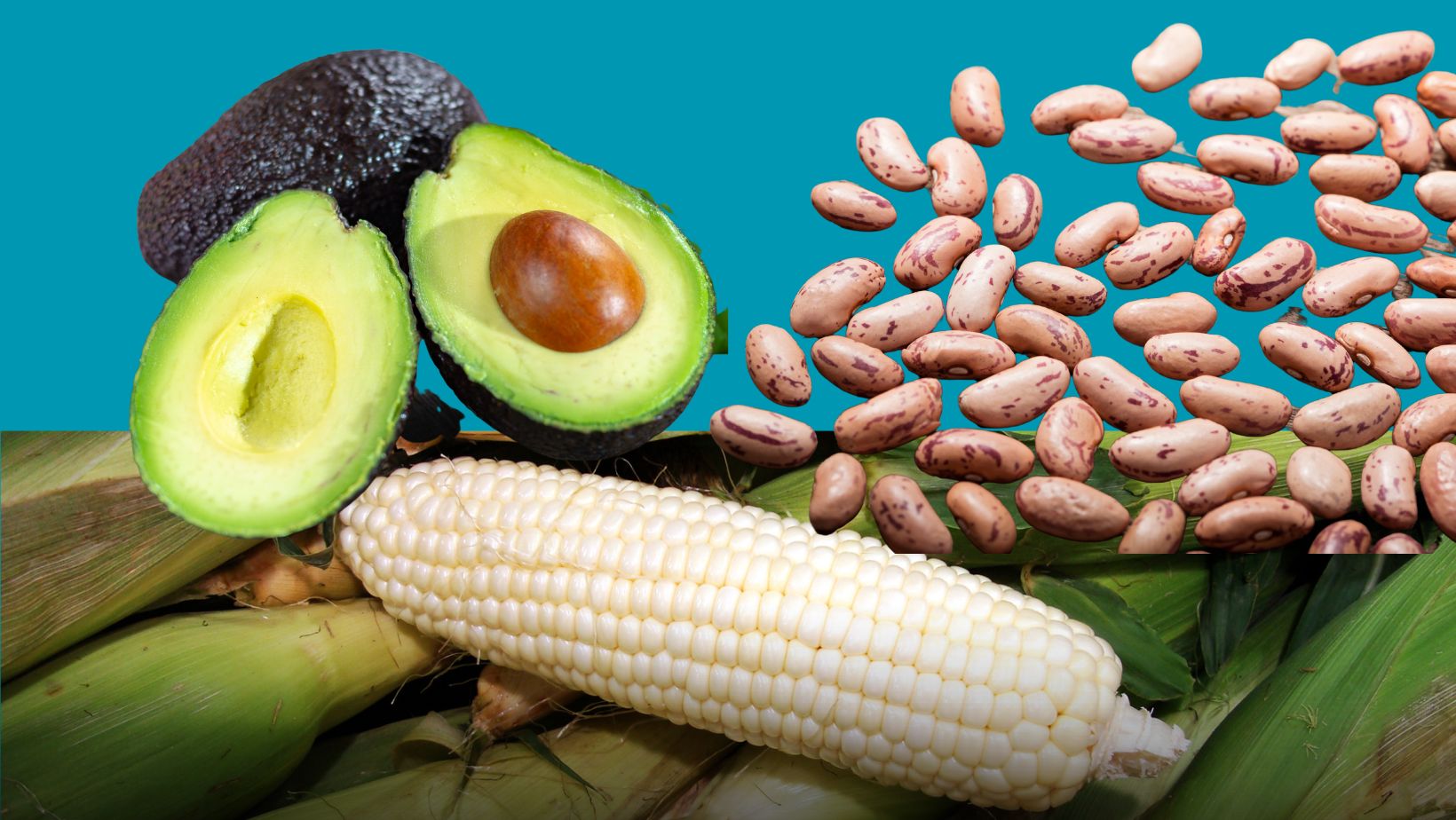 Frijol, maíz y aguacate aumentan de precio - Circuito Frontera