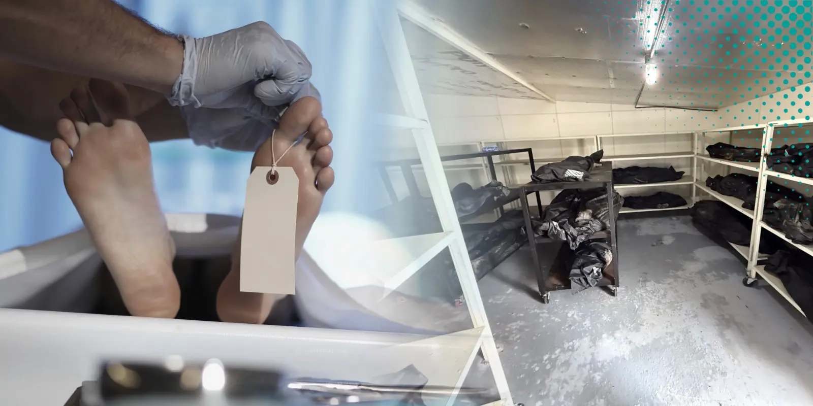 Identifican a 14 personas entre los cuerpos hallados en crematorio Plenitud - Circuito Frontera